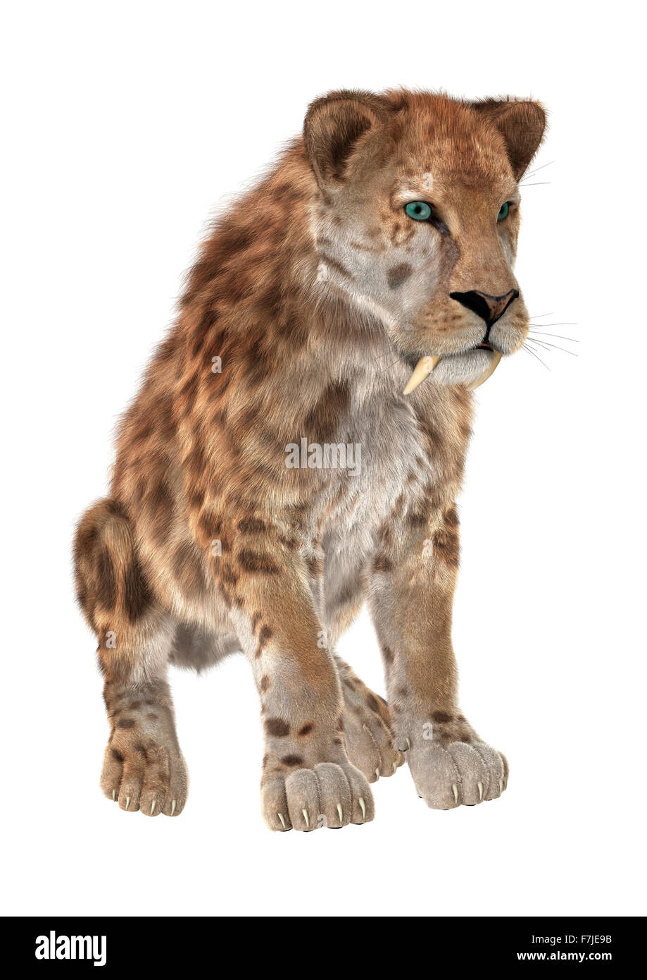 3D digital render of a big cat sabertooth sitting isolated on white ...