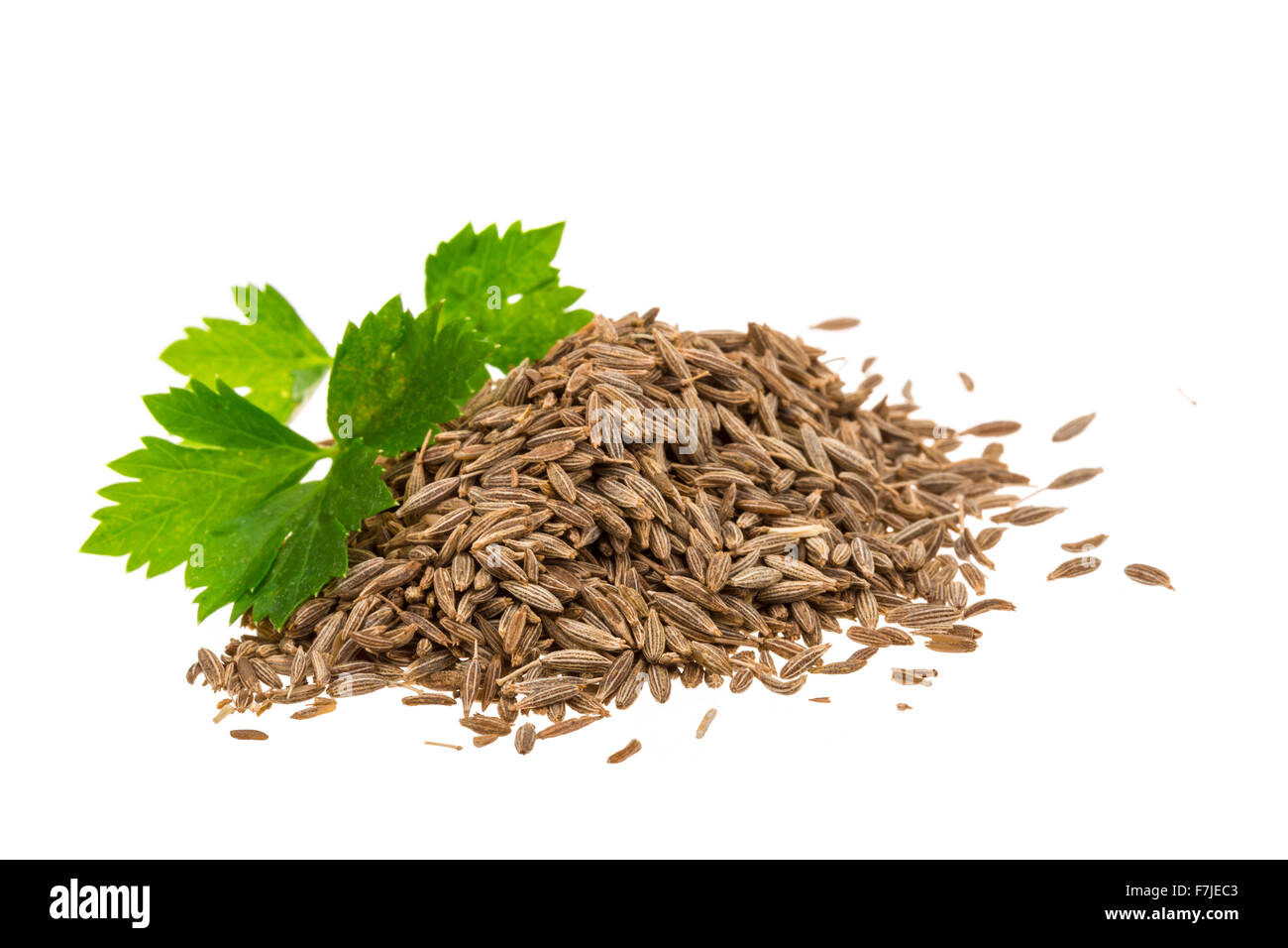 Zira seeds isolated Stock Photo - Alamy