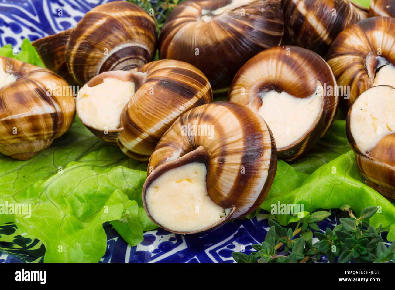 Escargot with cheese sauce Stock Photo - Alamy