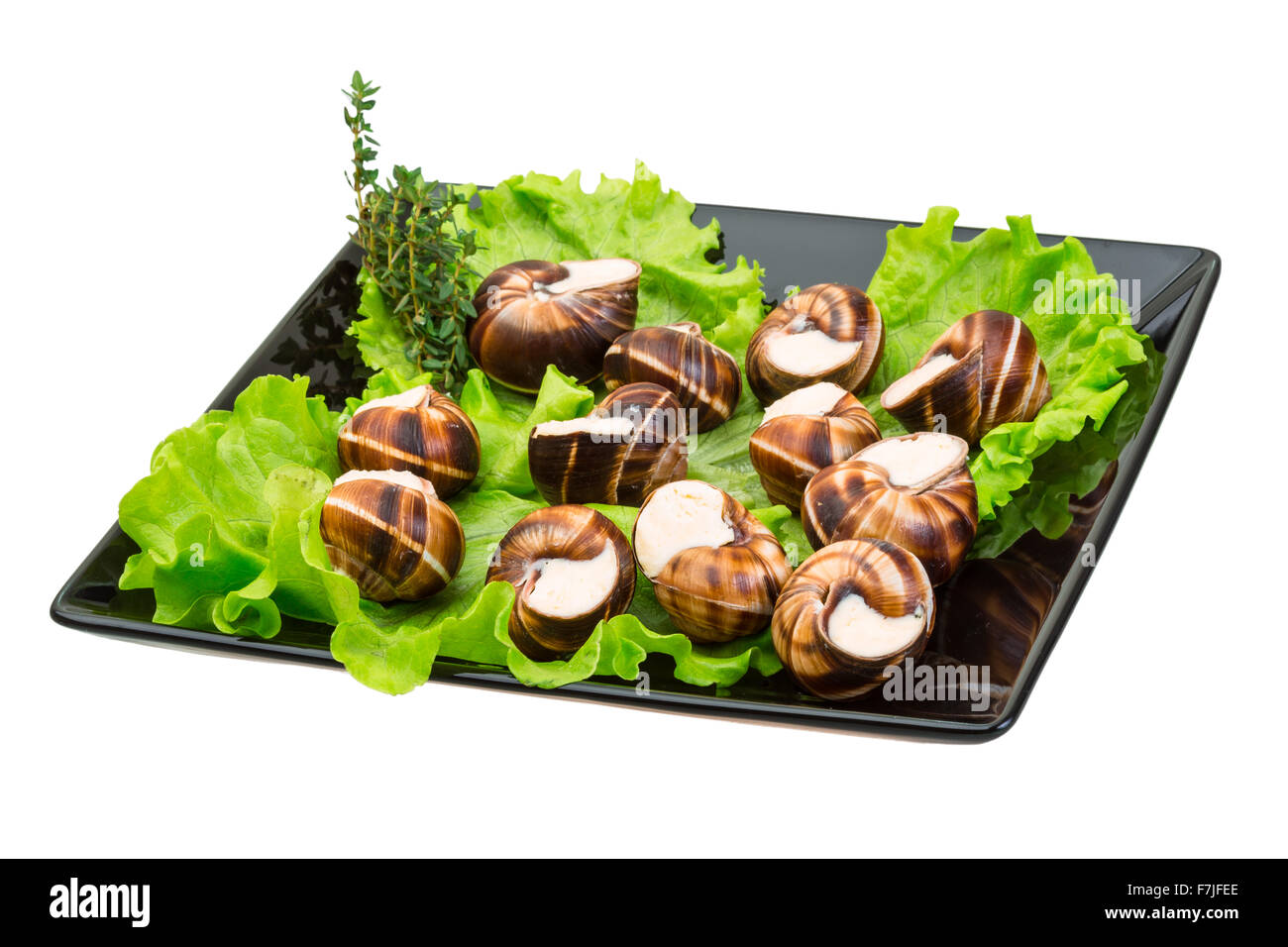 Escargot with cheese sauce Stock Photo - Alamy