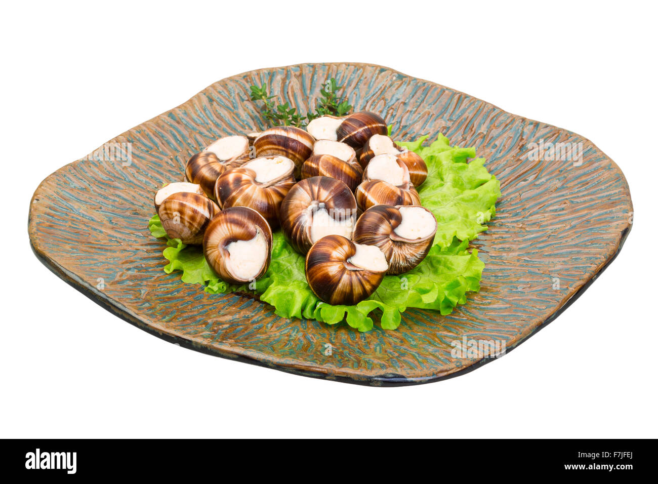 Escargot with cheese sauce Stock Photo - Alamy