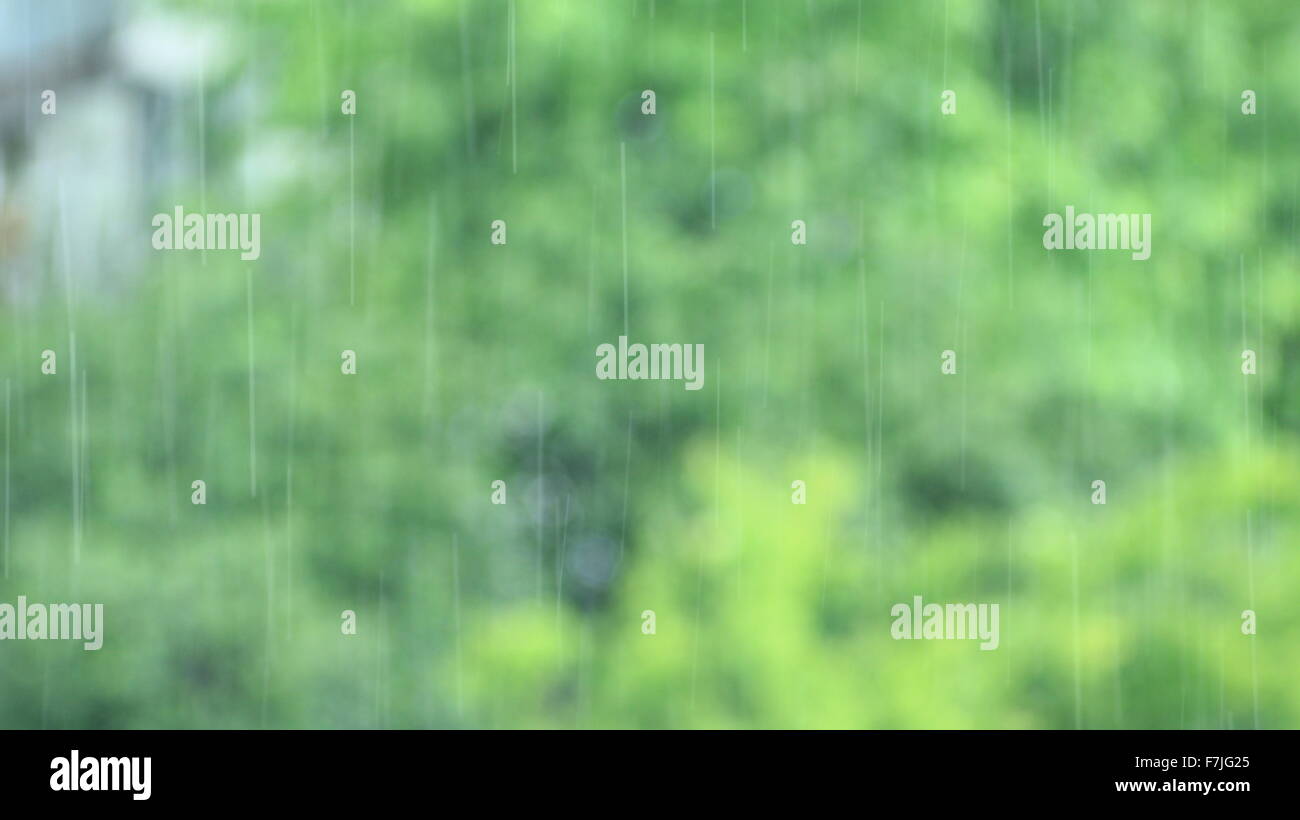 it's raining behind the window in the forest Stock Photo - Alamy