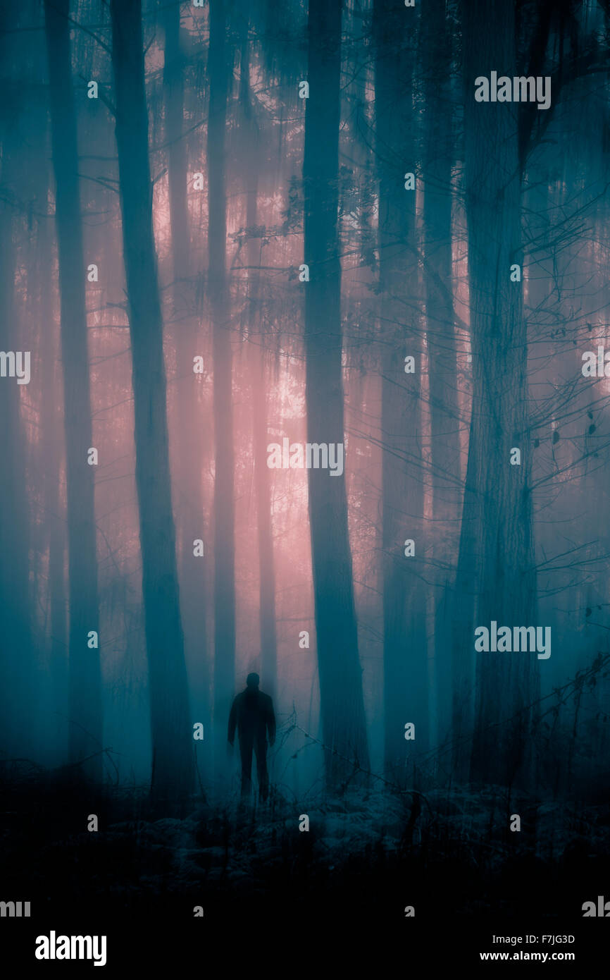 Figure standing in misty woods hi-res stock photography and images - Alamy