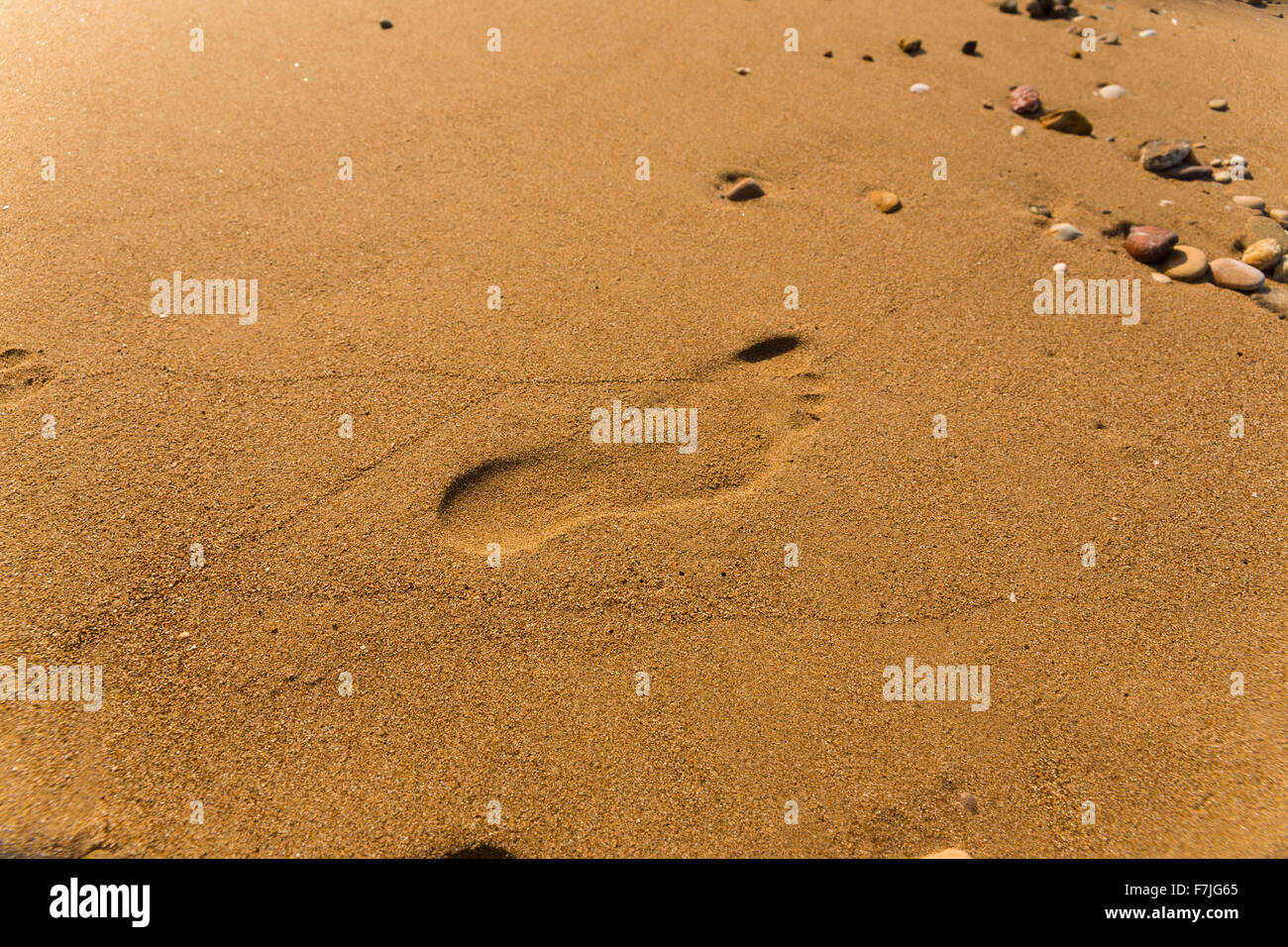 Foot track on the beach Stock Photo - Alamy