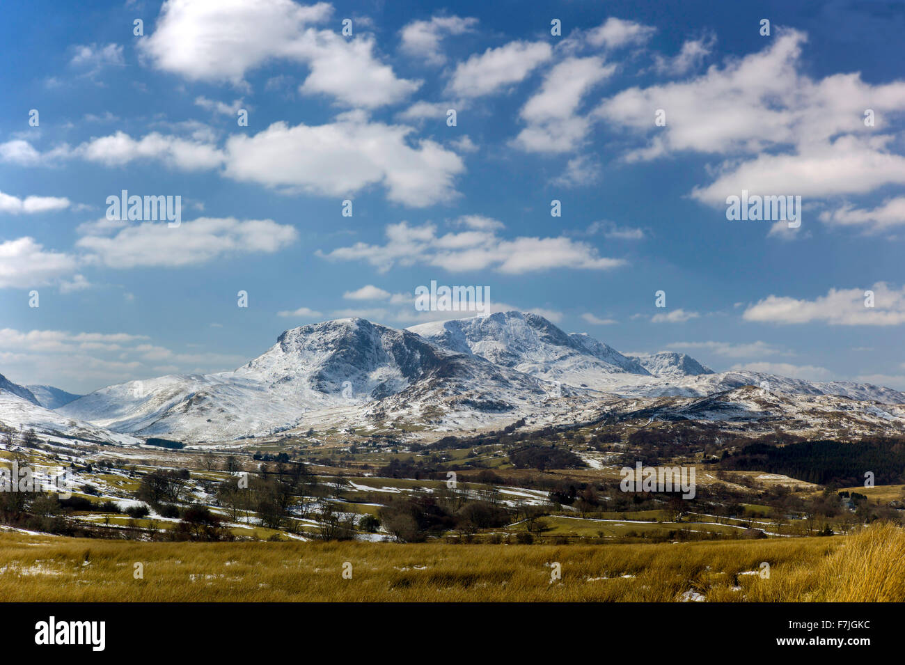 Cader idris mountain spring hi-res stock photography and images - Alamy
