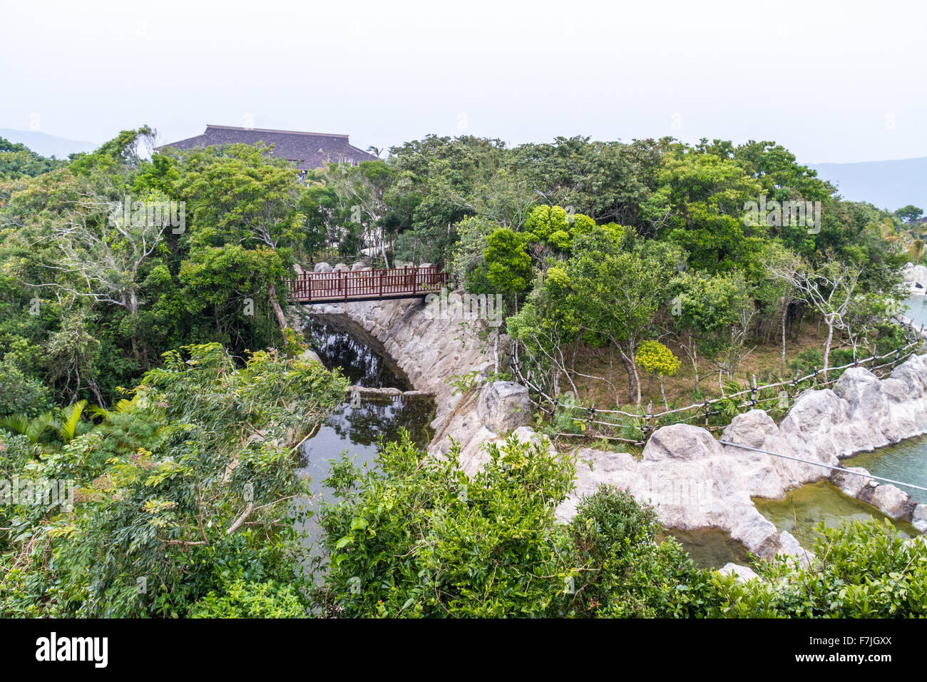 Chinese jungle, island of Hainan Stock Photo - Alamy