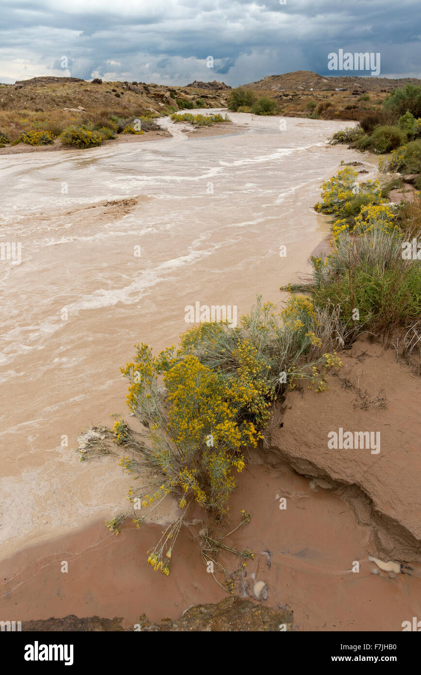 Monezuma Creek in flood, Navajo Nation, Utah Stock Photo - Alamy