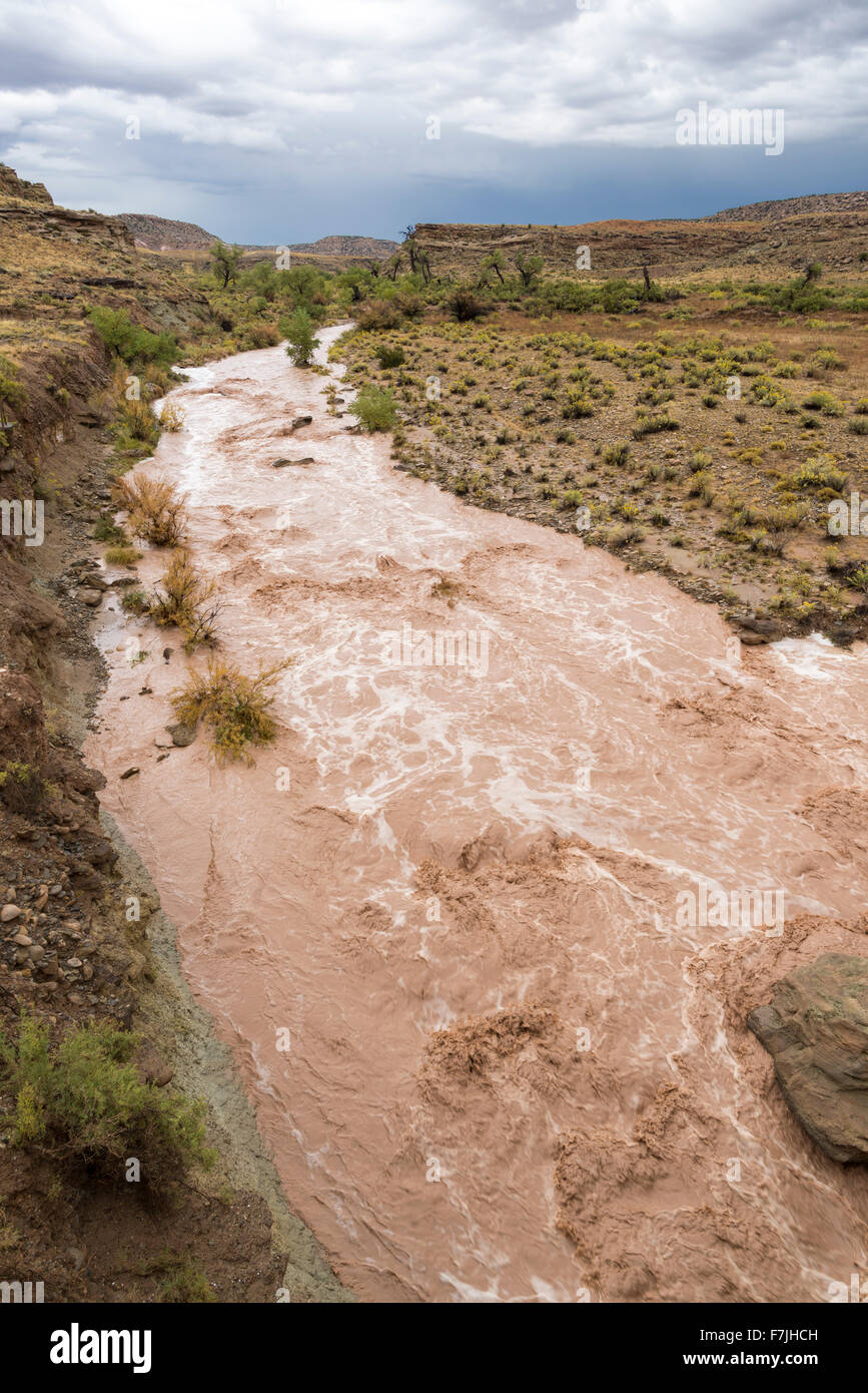 Recapture Wash in flood, Southern Utah Stock Photo - Alamy