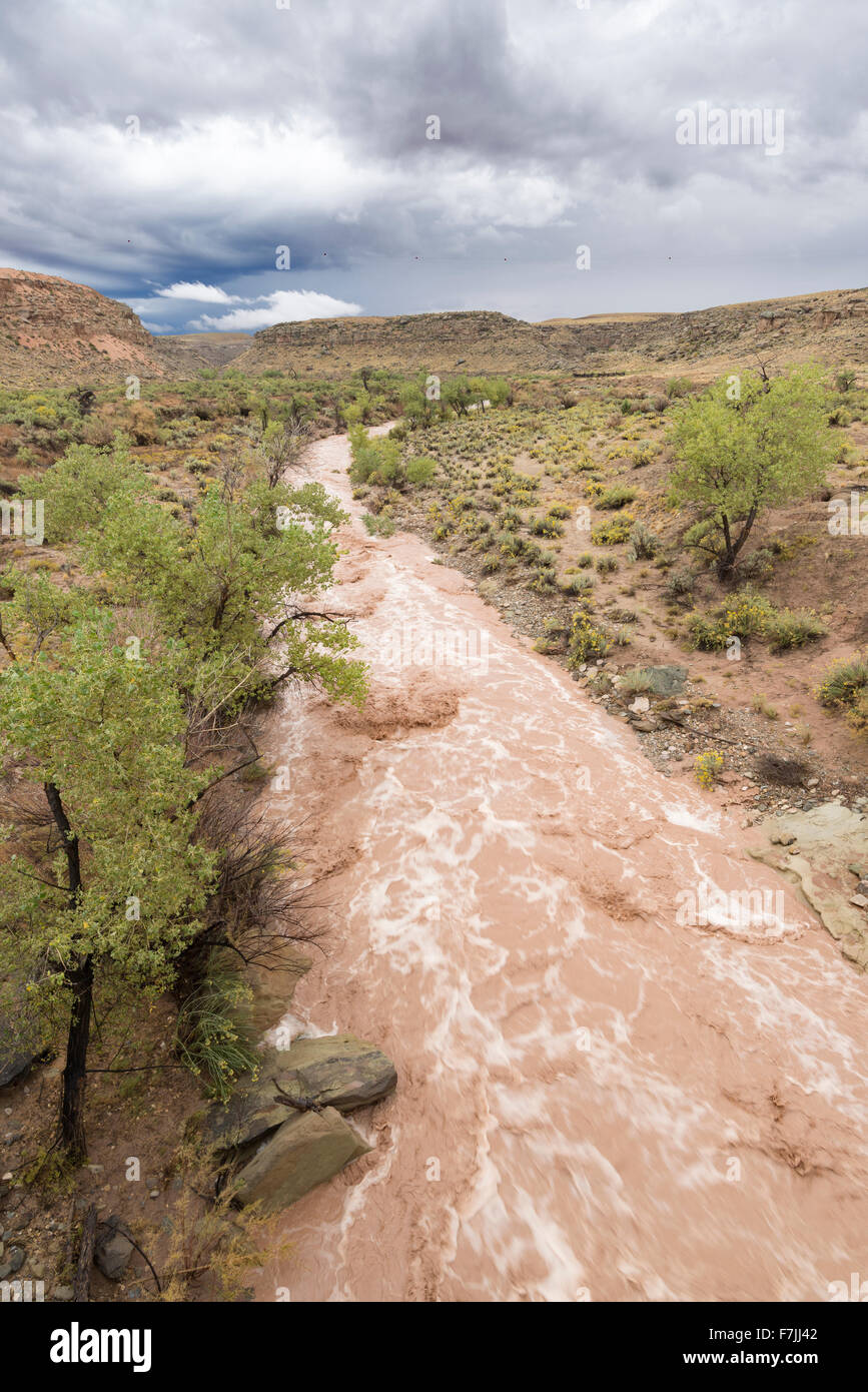 Flash Flood Desert