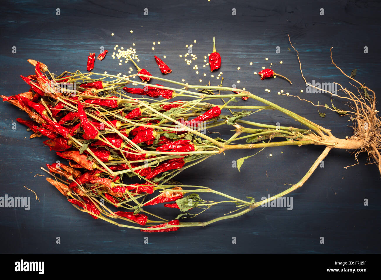 Dried red pepper seeds hi-res stock photography and images - Alamy