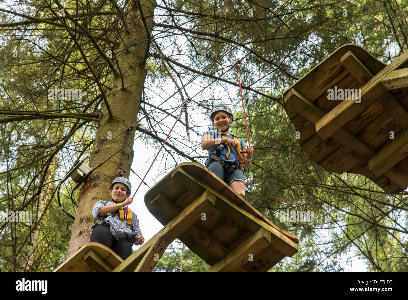 Platform trees hi-res stock photography and images - Alamy