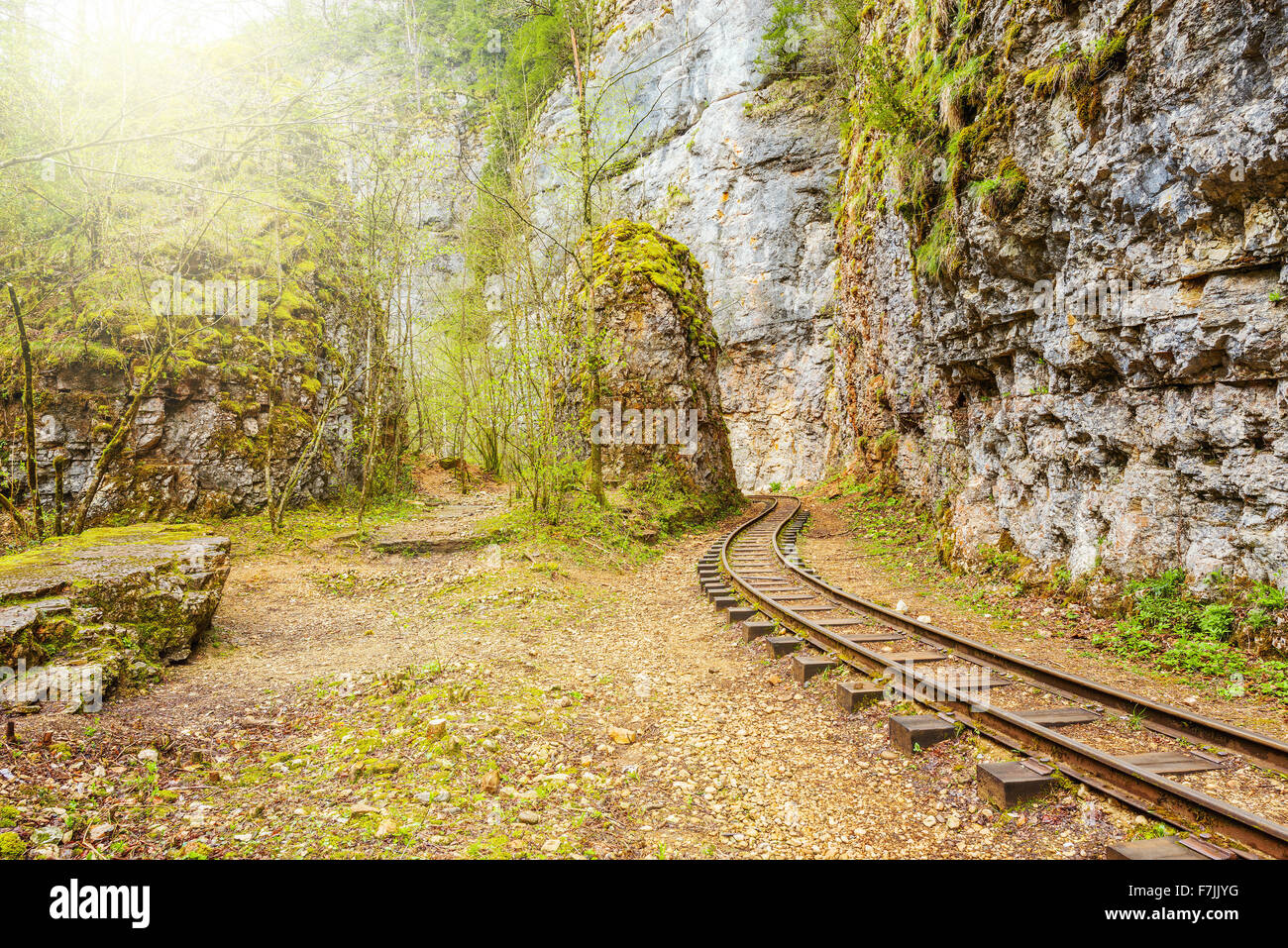 Abandoned narrow gauge railroad track hi-res stock photography and ...