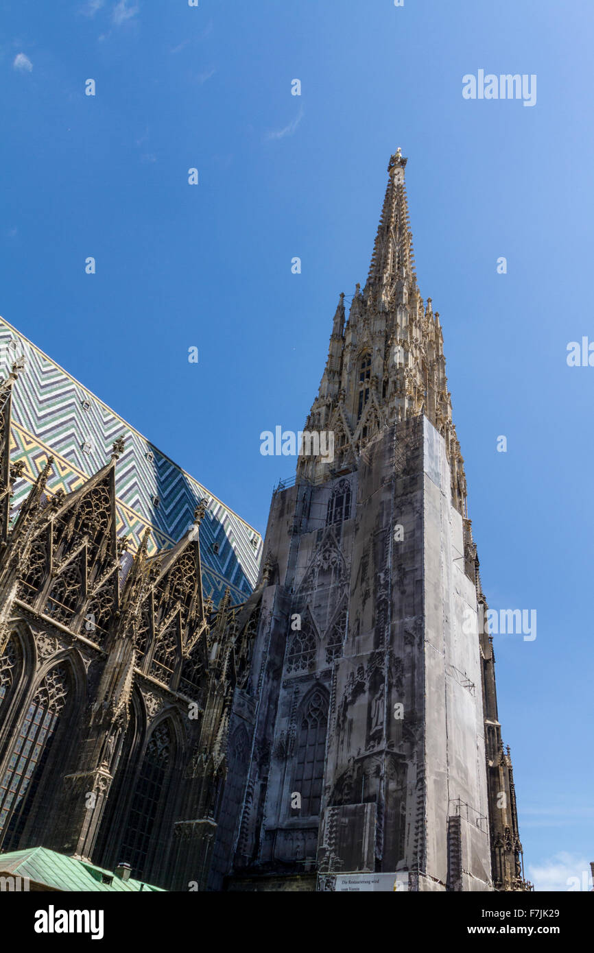 St. Stephan cathedral in center of Vienna, Austria Stock Photo - Alamy