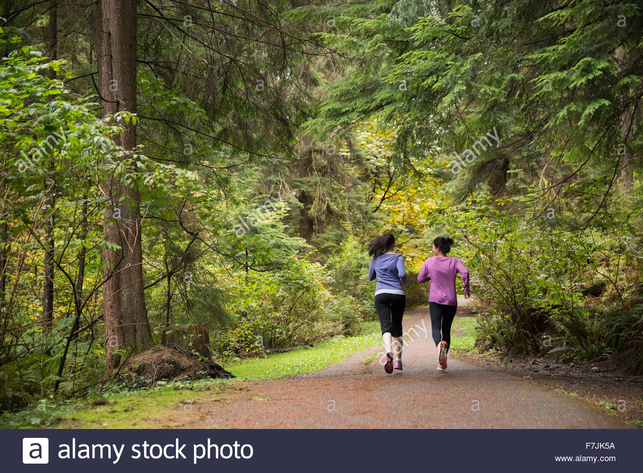 Jogging on path hi-res stock photography and images - Alamy