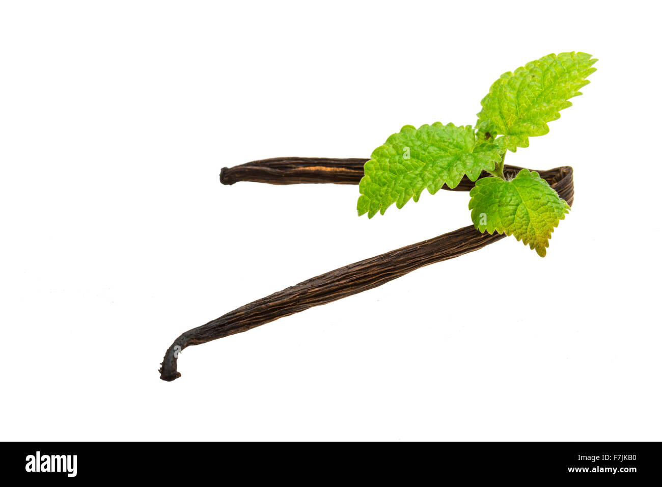 Vanilla with mint isolated studio Stock Photo - Alamy