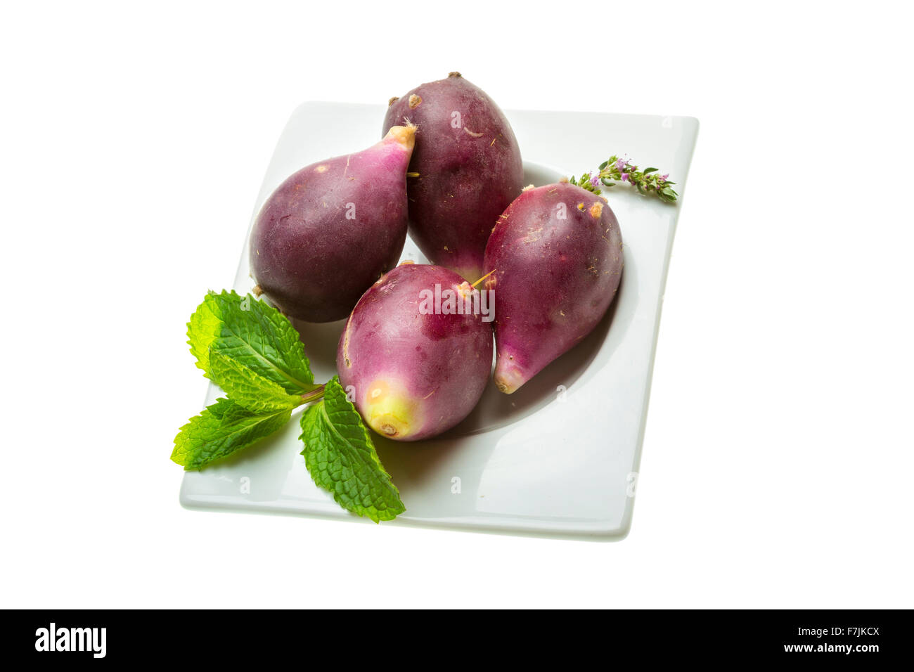 Sabr cactus hi-res stock photography and images - Alamy
