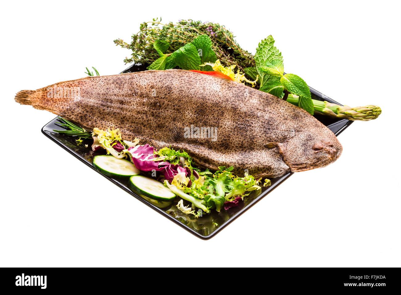 Fish Dover sole Stock Photo - Alamy