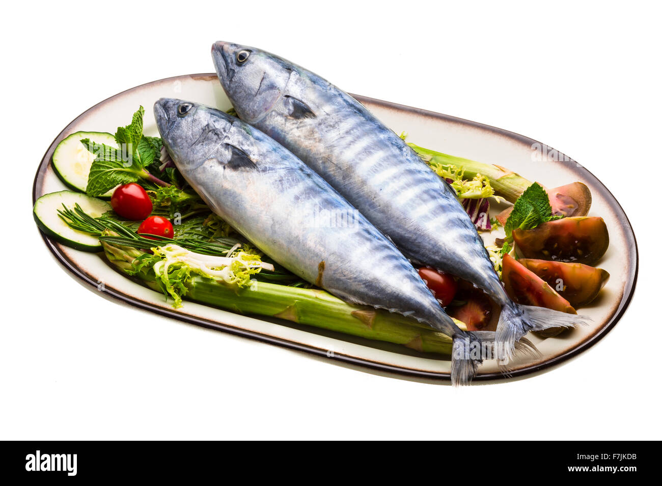 Atlanticmackerel hi-res stock photography and images - Alamy