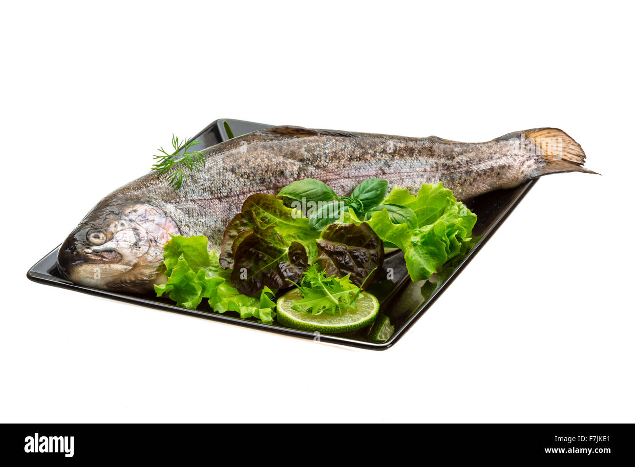 Fresh raw rainbow trout Stock Photo - Alamy