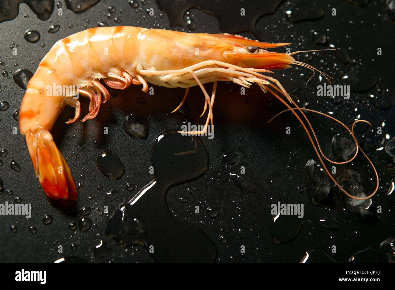 One shrimp ready to eat against black board Stock Photo - Alamy