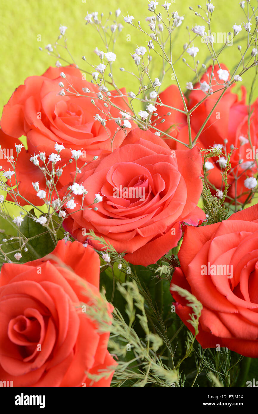 Vase red roses hi-res stock photography and images - Alamy