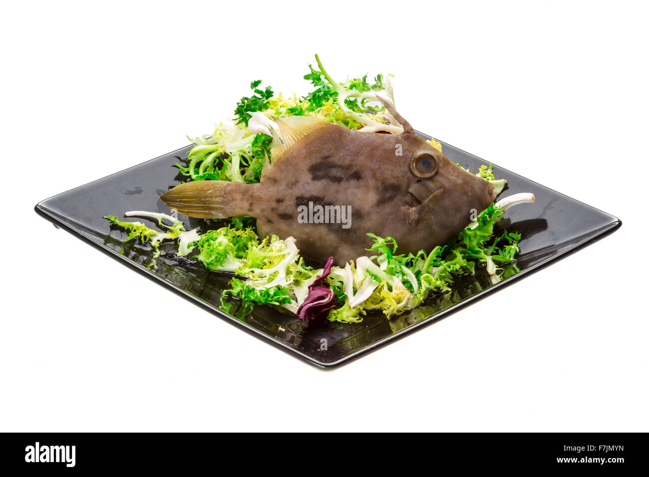 Pesce fish Cut Out Stock Images & Pictures - Alamy