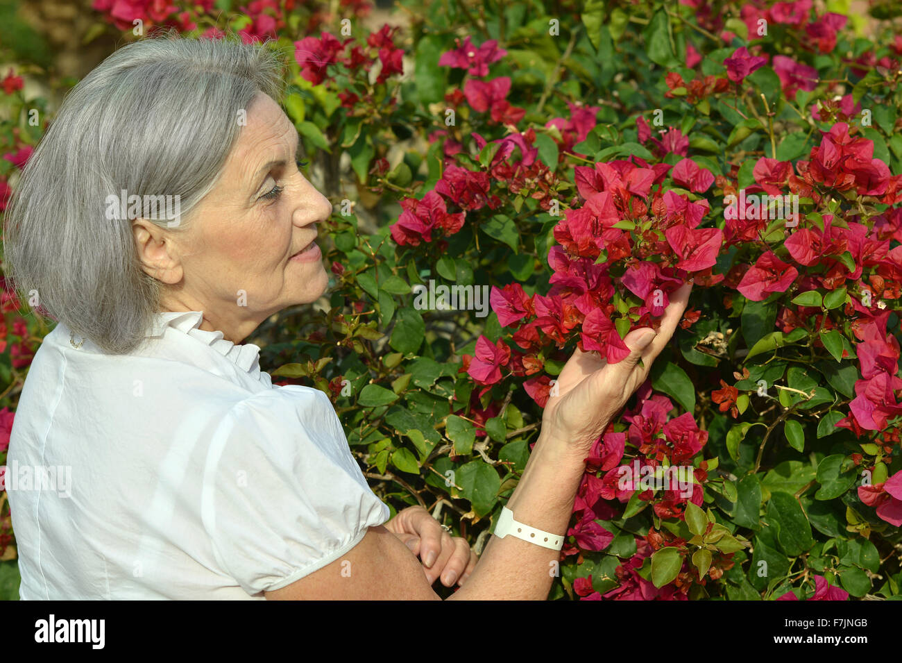 Elderly woman flowers face hi-res stock photography and images - Alamy
