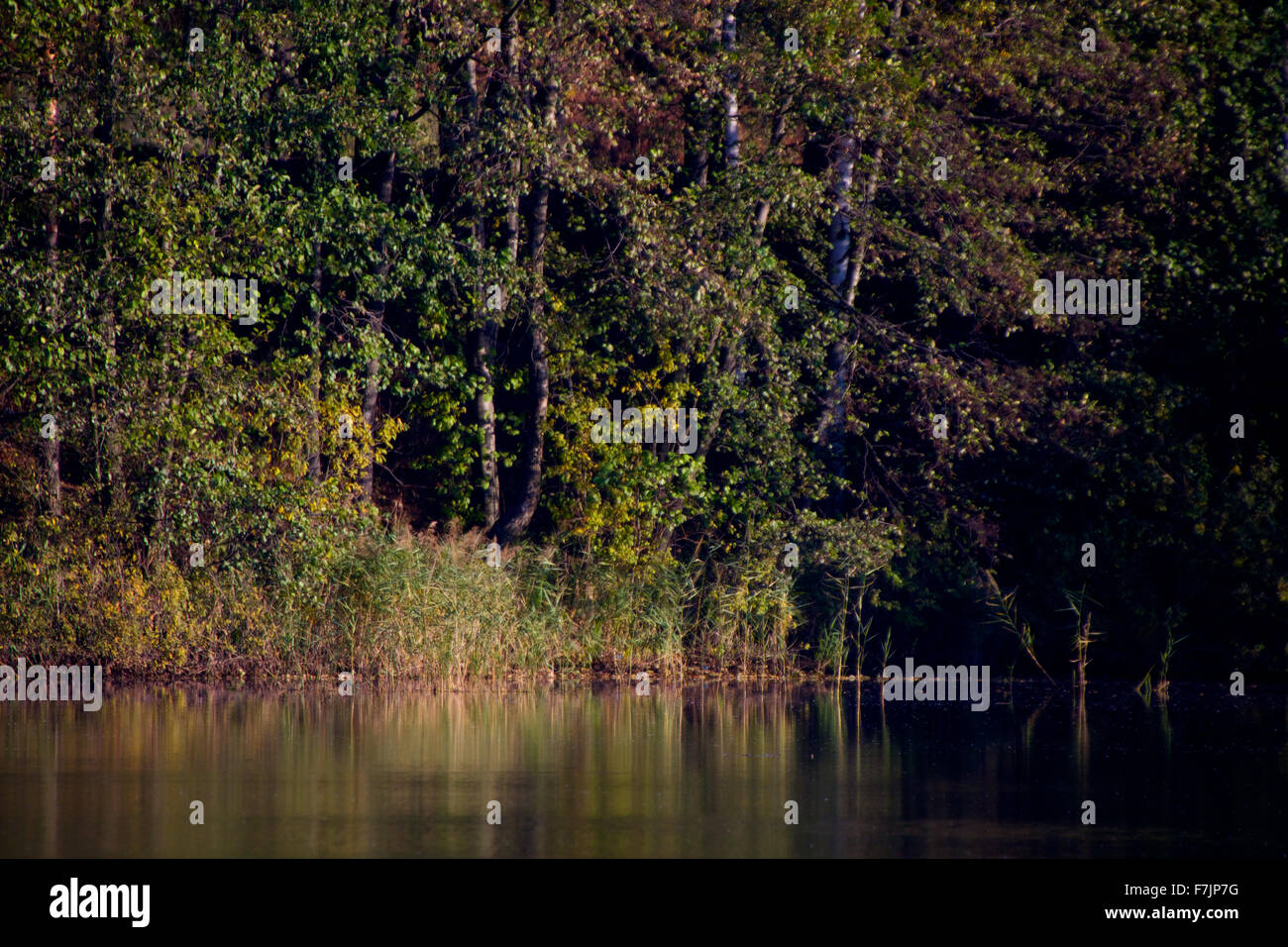 Colorful autumn trees fortress at the river front Stock Photo - Alamy