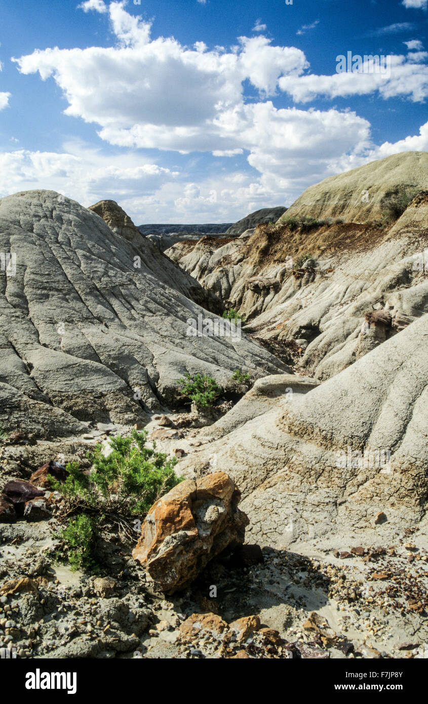 Alberta Badlands, Canada Stock Photo - Alamy