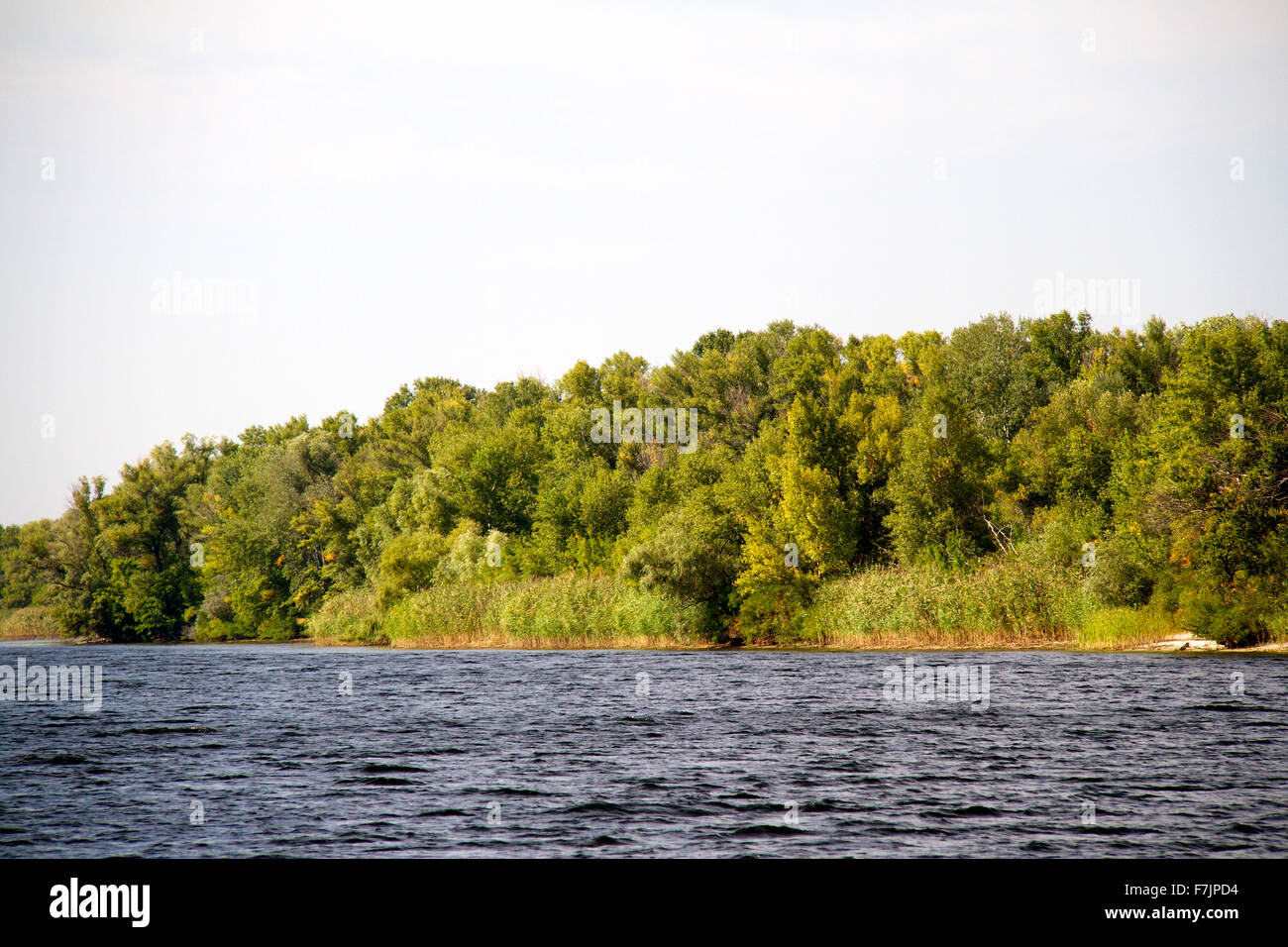 Dnipro river coast in Ukraine Stock Photo - Alamy