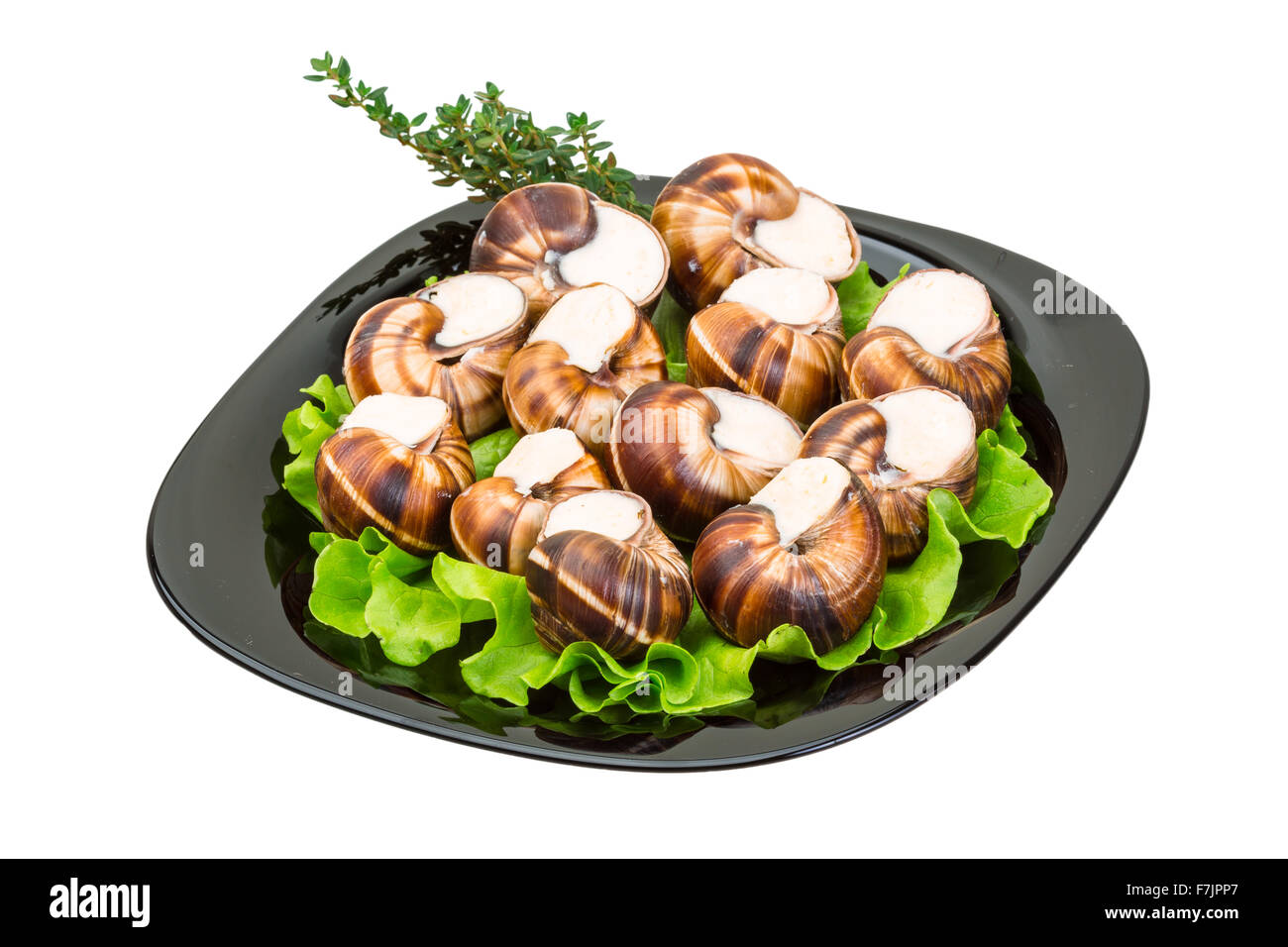 Escargot with cheese sauce Stock Photo - Alamy