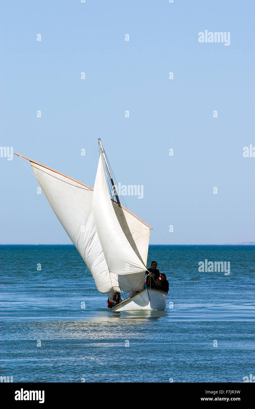 The Vogua Monstra, Latin sail, Le Grau du Roi, Languedoc-Roussillon ...