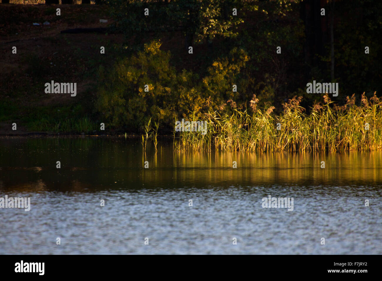 Colorful autumn trees fortress at the river front Stock Photo - Alamy