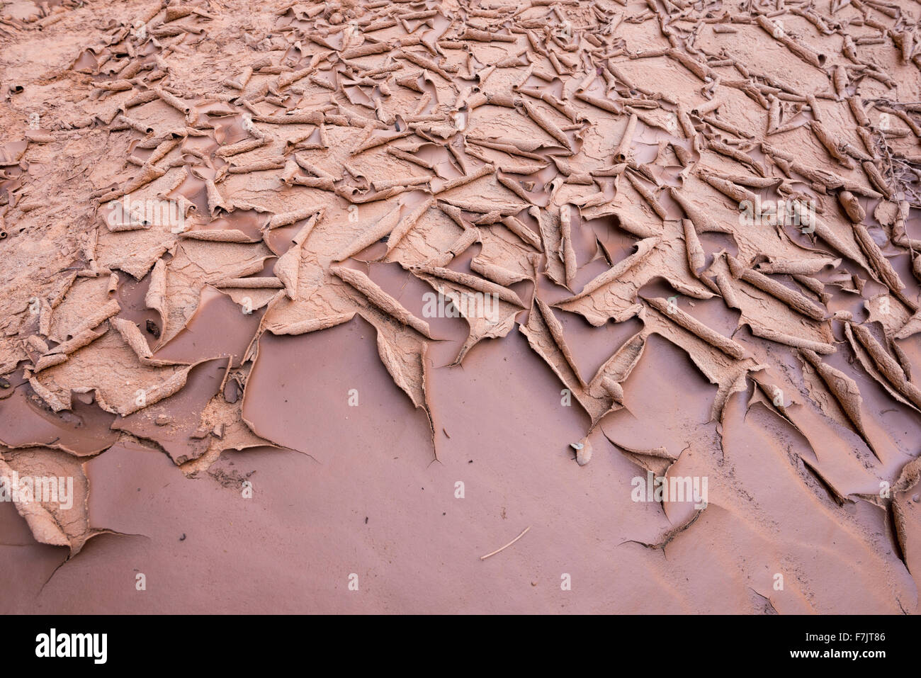 Peel plateau hi-res stock photography and images - Alamy