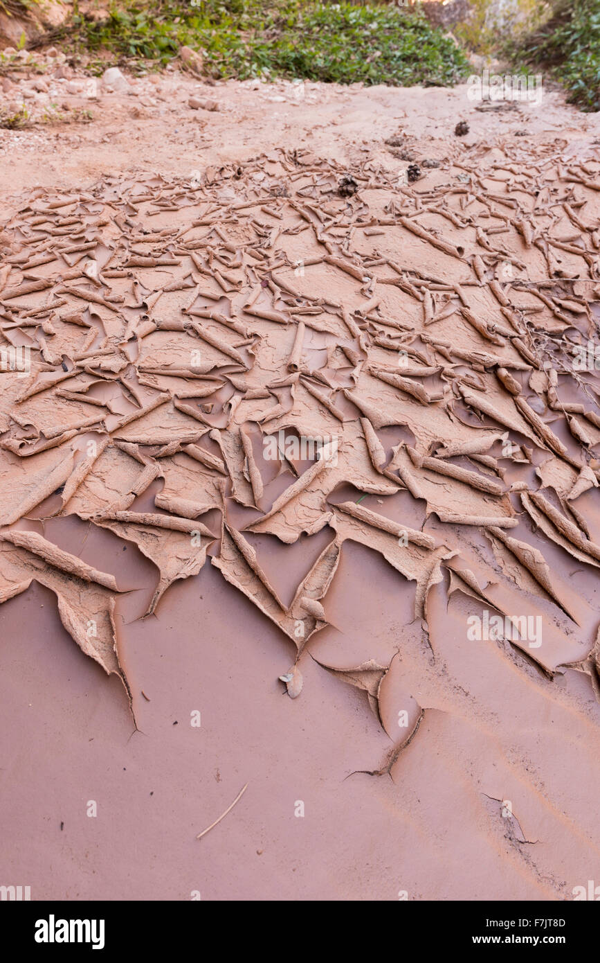 Drying sand in the streambed of a canyon in Cedar Mesa, Utah Stock ...