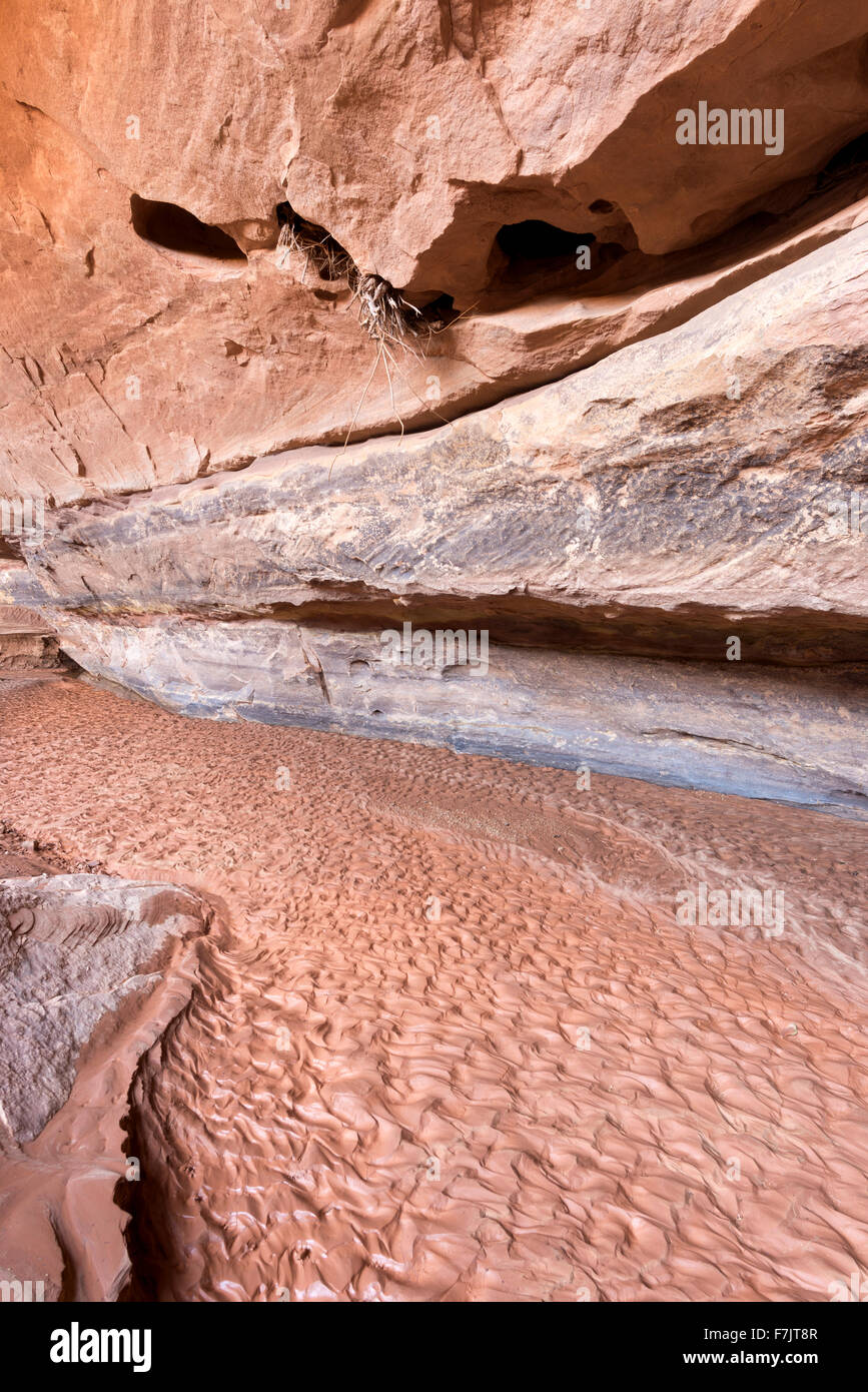 Streambed patterns and flood debris wedged into a crack in a canyon ...