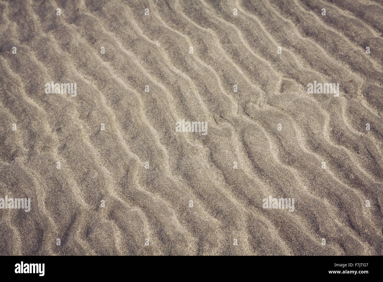 close up of sea beach sand or Desert sand for texture and background ...