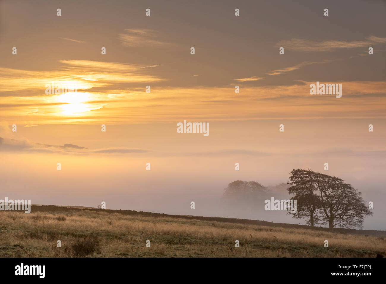 East halton hi-res stock photography and images - Alamy