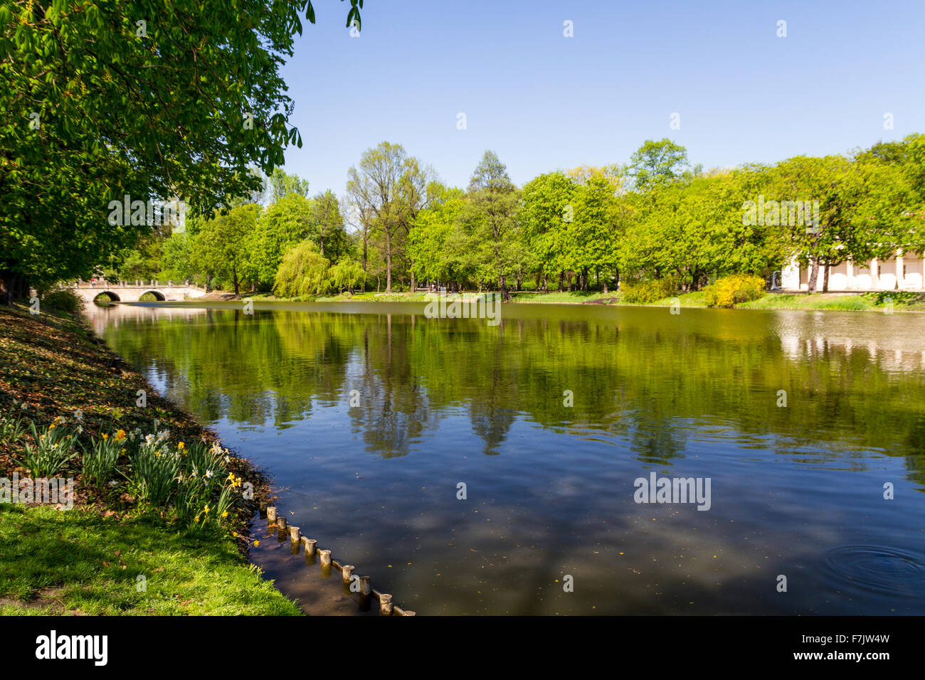 summer park, trees Stock Photo - Alamy