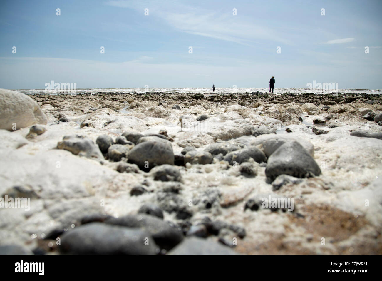 Low quirky camera angle sea foam trapped between rocks pebbles and ...