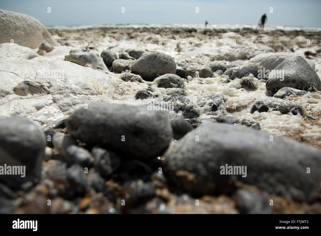 Low quirky camera angle sea foam trapped between rocks pebbles and ...