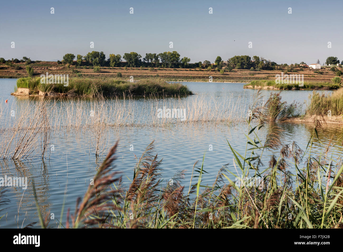 Small lake hi-res stock photography and images - Alamy