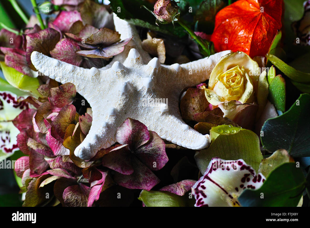 A beautiful gift floristic with elements of marine life Stock Photo - Alamy