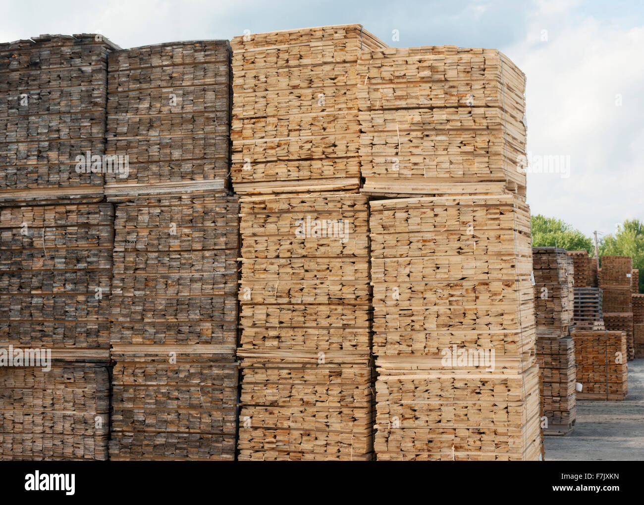 Pine wood planks pile hi-res stock photography and images - Alamy