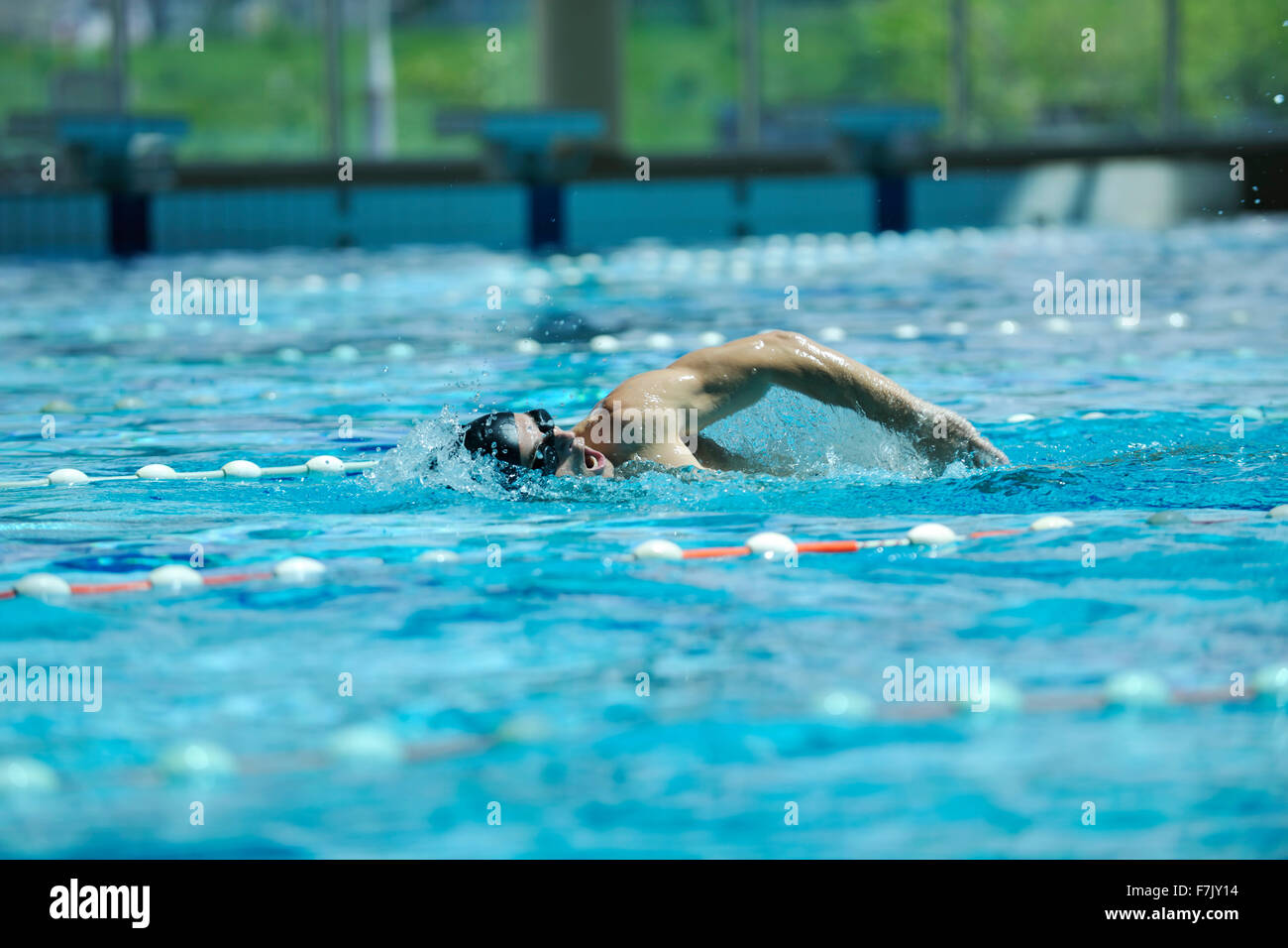 young healthy with muscular body man swim on swimming pool and ...