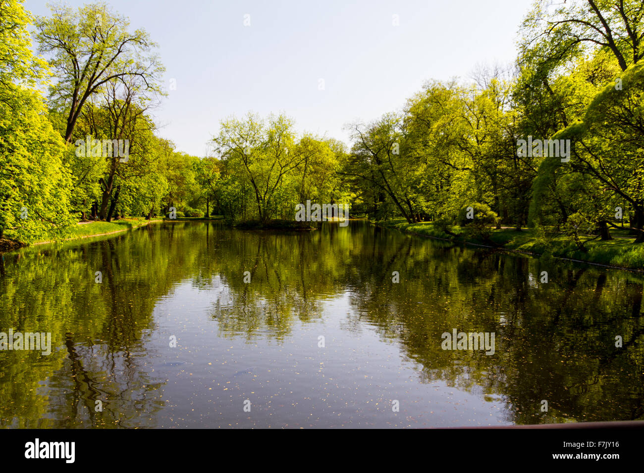 summer park, trees Stock Photo - Alamy