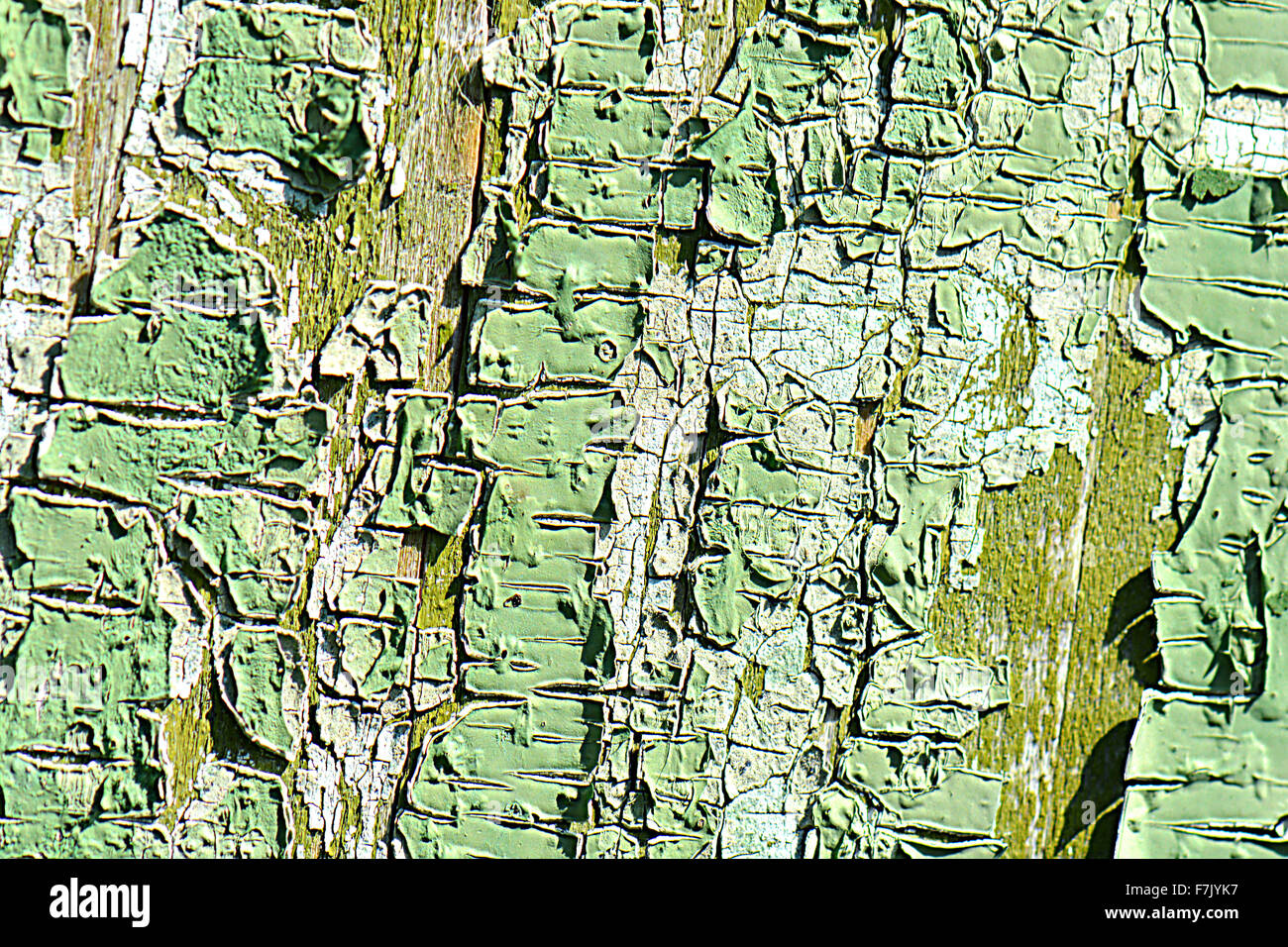 Bark texture hi-res stock photography and images - Alamy