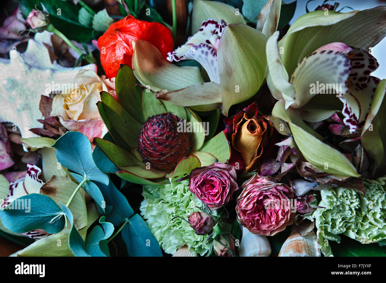 A beautiful gift floristic with elements of marine life Stock Photo - Alamy