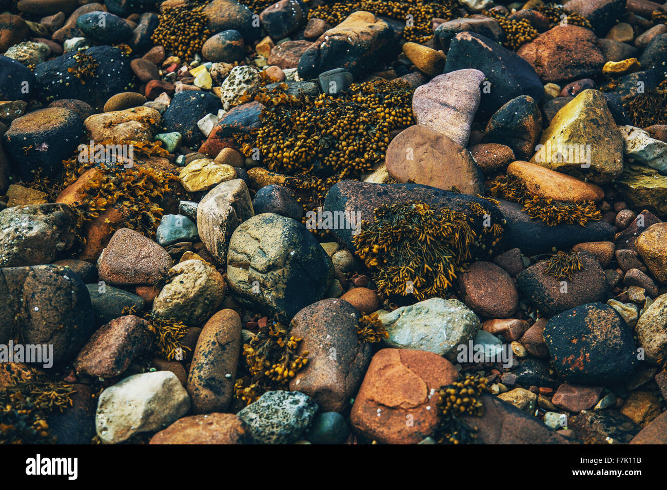 Multi coloured rocks along a loch shore Stock Photo - Alamy