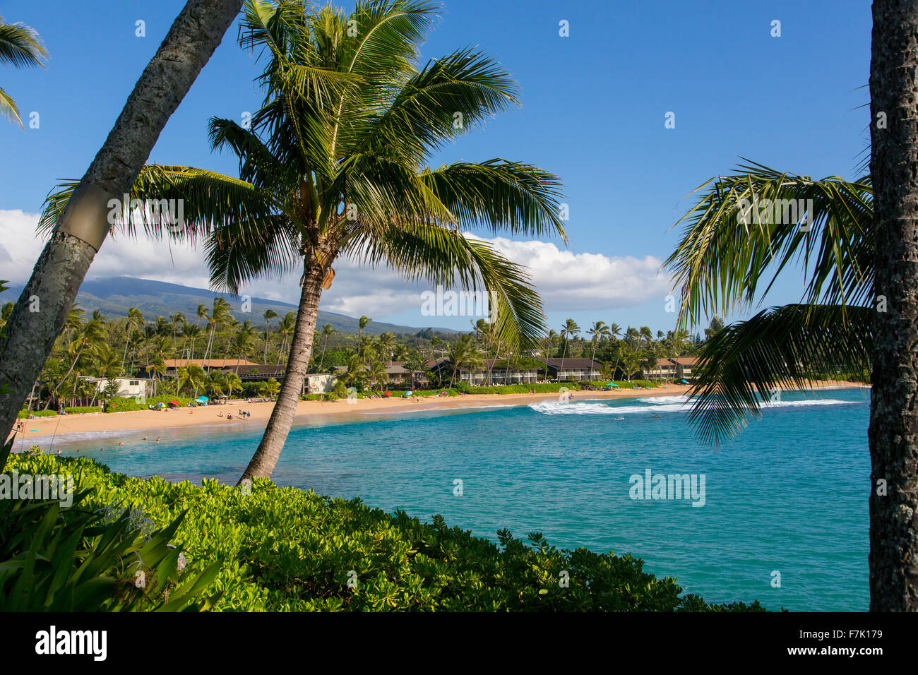 Napili Beach, Maui, Hawaii Stock Photo - Alamy